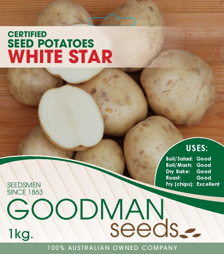 Seed Potatoes - White Star – Northcote Nursery
